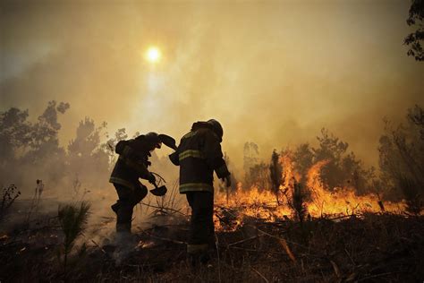 Las Imágenes Más Dramáticas De Los Incendios Forestales En Chile Infobae