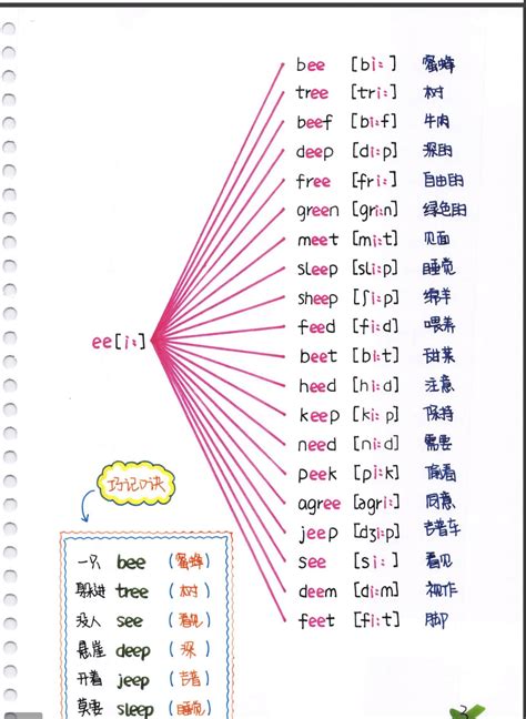大班和一年级英语自然拼读音标彩色大字思维导图词组亲子伴读网 大班和一年级英语自然拼读音标彩色大字思维导图词组亲子伴读网
