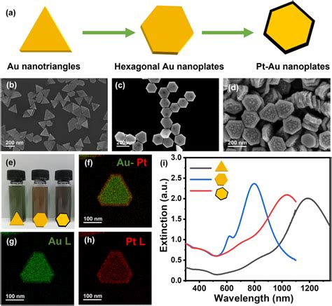 A Schematic Illustrating The Preparation Of Pt Au Nanoplates B D Download Scientific Diagram