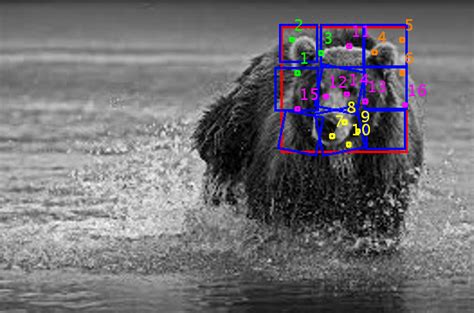 Learning A Mixture Of Hierarchical Sparse Frame Models For Clustering