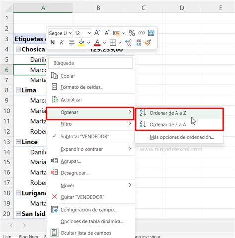 Ordenar Datos en una Tabla Dinámica Ninja del Excel