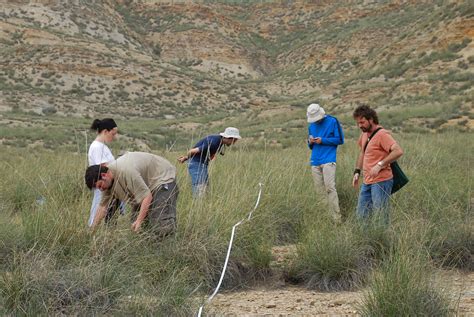 Deciphering Spatial Patterns Can The Spatial Arrangement Of Dryland