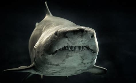 Jan Ozer On Linkedin Codecroyalties