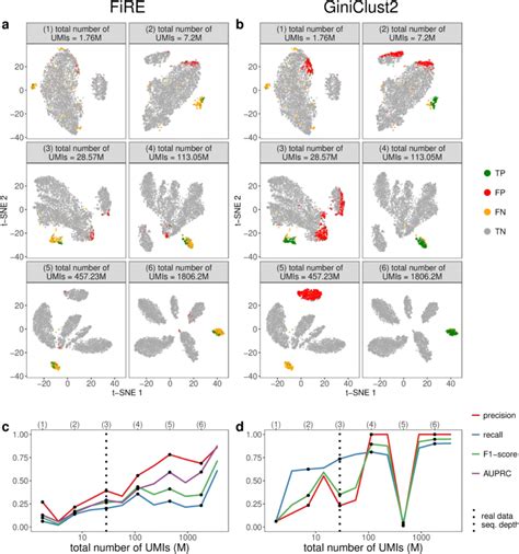 scdesign2 guides the choice of sequencing depth in rare cell type