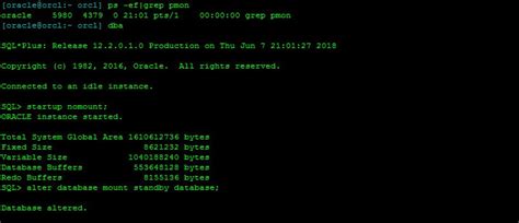 Oracle 12c Step By Step Manual Data Guard Switchover Oracledbwr