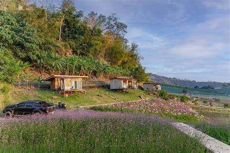 แดนดอย โฮมสเตย์ Dandoi Homestay Mae Taeng