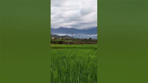 Subhan Ullah Youtube