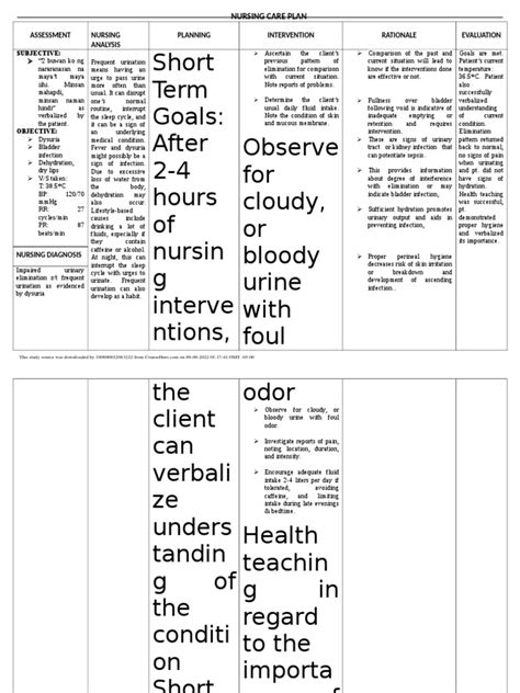 Nursing Care Plan Urinary Incontinence Pdf Urinary Bladder Urine