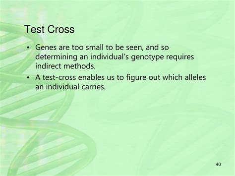 PPT Mendelian Inheritance PowerPoint Presentation Free Download ID