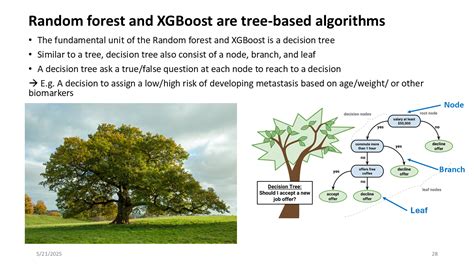 Catboost Classifier A Simple Guide For Everyone By Dubranov Alexander Medium Catboost Classifier A Simple Guide For Everyone By Dubranov Alexander Medium