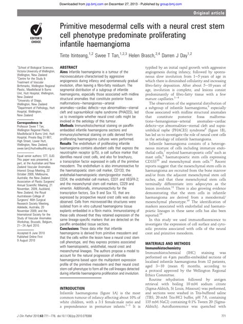 Pdf Primitive Mesodermal Cells With A Neural Crest Phenotype