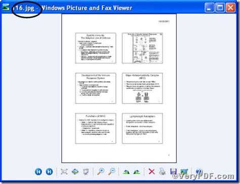How To Convert Prn To  Via Command Line Verypdf Knowledge Base