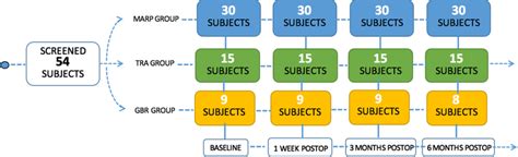 Flow Chart Of Grouping Management Marp Modified Alveolar Ridge Download Scientific Diagram