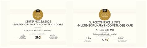 Endometriosis Acıbadem Healthcare Services Bg