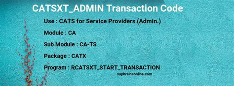 Catsxtadmin Sap Tcode For Cats For Service Providers Admin