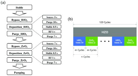 Schematic Of A Ald Deposition Process B Hzo Thin Film Deposition