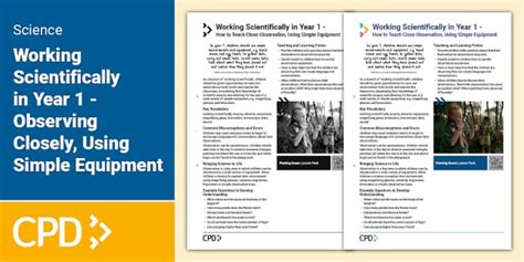 Working Scientifically In Year 1 Teacher Made Twinkl