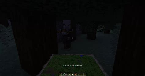 Show My Coordinates Minecraft Mod