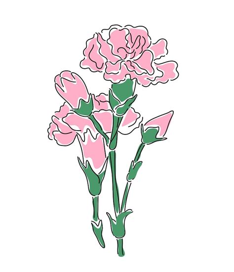 붓 그림 카네이션 일러스트 벡터 Freepik에서 무료 고품질 벡터를 다운로드하세요 Freepik