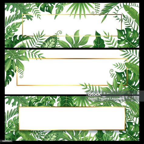 열 대 잎 배너입니다 이국적인 야자수 잎 배너 천연 코코넛 야자수 분기 구조 및 정글 식물 벡터 배경 디자인 모음 우림에 대한 스톡 벡터 아트 및 기타 이미지 Istock