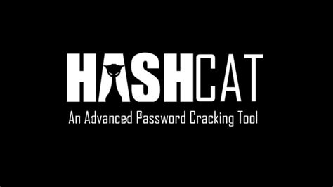 Enabling Amd Gpu For Hashcat On Kali Linux Blackmore Ops