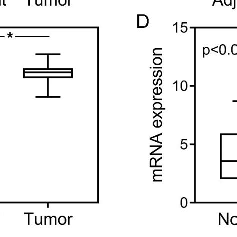 Protein And Mrna Expression Of Kif11 And Kif14 In Colorectal Cancer Download Scientific