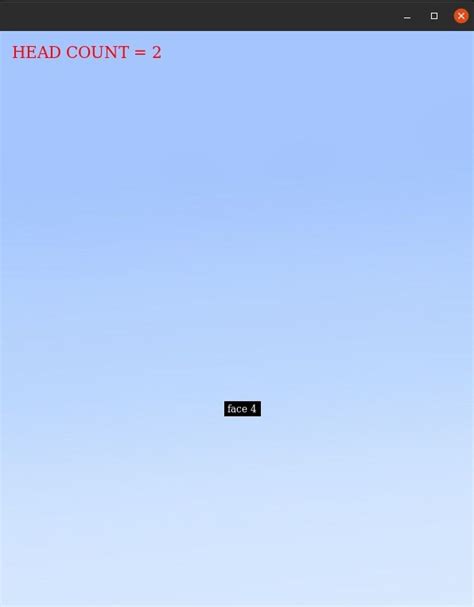 Is It Possible To Remove Object Detection Text And Bounding Boxes But