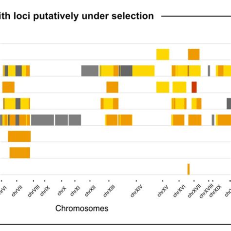 Genome Wide Distribution Of Quantitative Trait Loci Among Lake