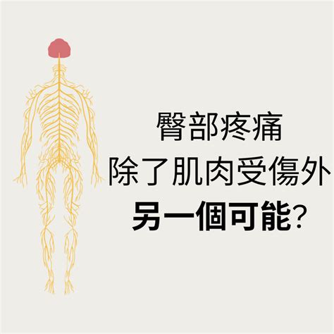 癒健物理治療所empower Physio｜台北市物理治療所 個案分享 Sharing