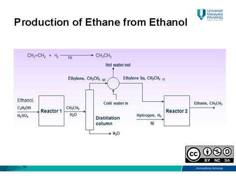 BSB Biomanufacturing CHAPTER Process Plant Design