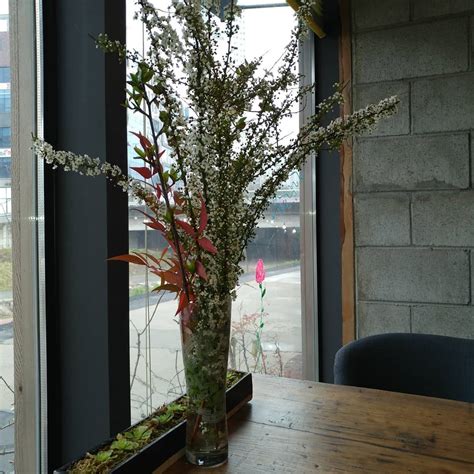 오늘의 커피 커피체리 차 까스까라 차 카스카라 차 Coffeecherryberry