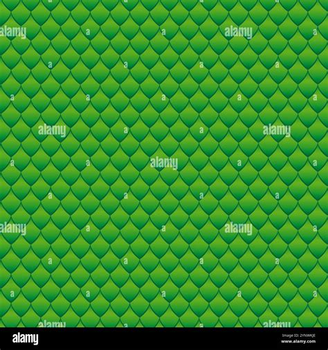 Dragon Skin Seamless Pattern Stock Vector Image And Art Alamy
