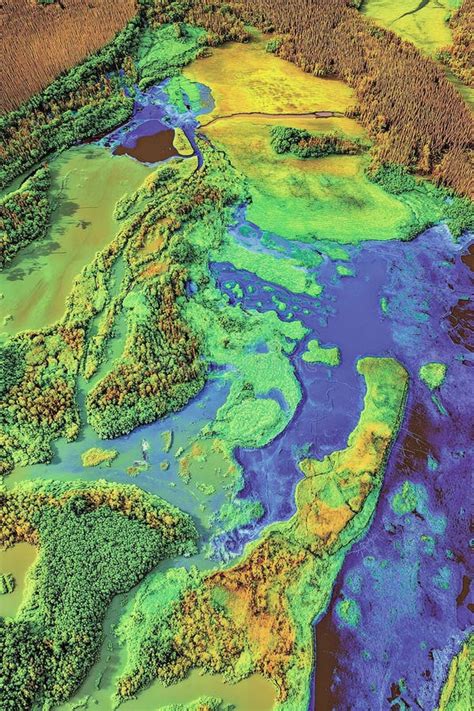 Technical Lidar Gis Map Of A Wetland Area Visualizing Elevation Water