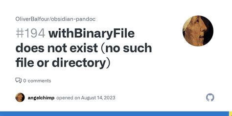 WithBinaryFile Does Not Exist No Such File Or Directory Issue 194