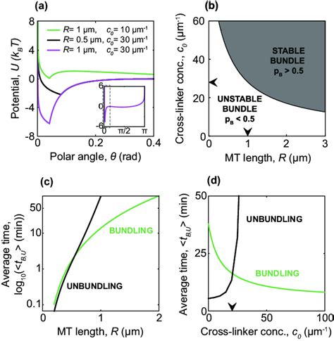 Solutions Of The Model In The Adiabatic Approximation A The Download Scientific Diagram