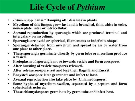 Life Cycle Of Pythium Albugo Erysiphe Claviceps Ustilao And Pucci