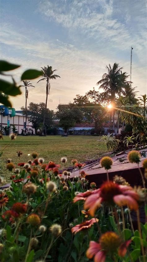 Hamid Bashir On Linkedin Morning At The Office 🌅 ️