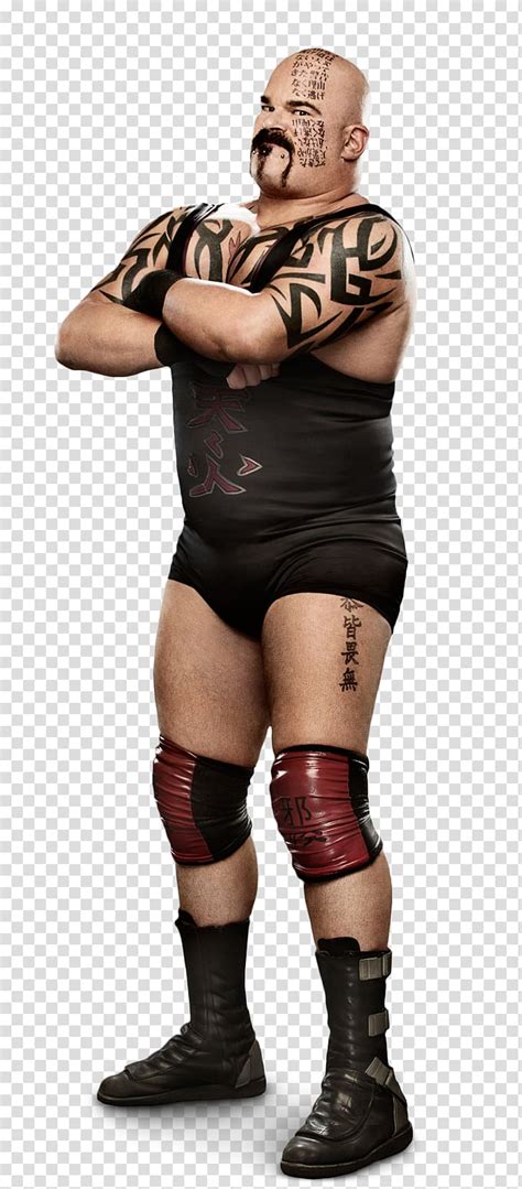 Professional Wrestling Professional Wrestler Wwe Tons Of Funk