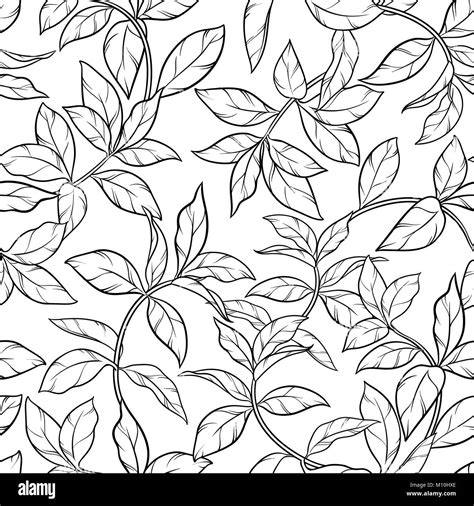 Tea Leaves Seamless Pattern On White Background Stock Vector Image