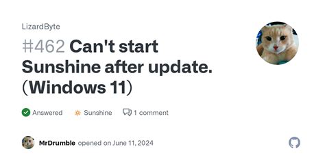can t start sunshine after update windows 11 · lizardbyte