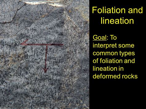 Foliation