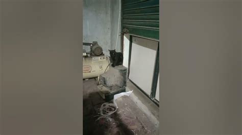 jayprakash yadav youtube