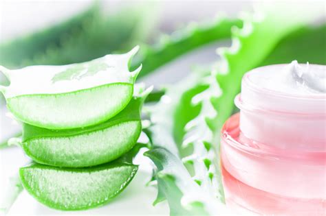 알로에 베라 젤 암 염 미네랄 피부 크림 백색 배경에 유기농 스킨 케어 고 민감한 피부를 위한 천연 화장품 알로에 베라 잎을 썬 대체 의학 스파와 스킨 케어 개념 건강관리와