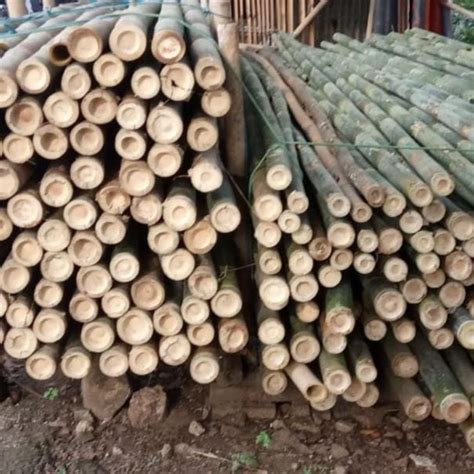 Jual Bambu Kecil Panjang 6 Meter Kota Depok Tb Fransia Jaya Tokopedia