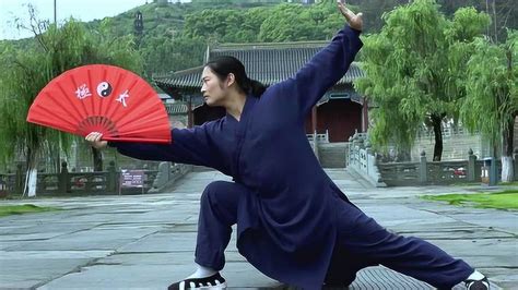 武当功夫扇左懋资命武当道家传统武术馆高清1080p在线观看平台腾讯视频