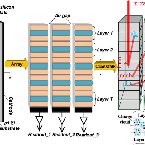 Schematic Of Detector Structure And Linear Array With Crosstalk Inside