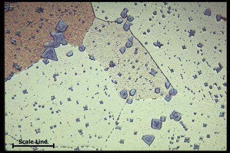 Resources Standards And Properties Copper And Copper Alloy Microstructures Brasses