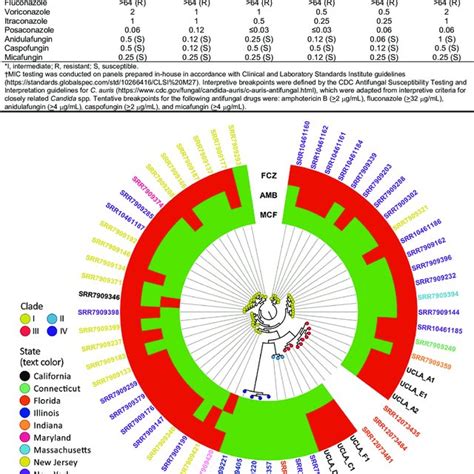 Figure K Mer Analysis Of Candida Auris Isolates United States Download Scientific Diagram
