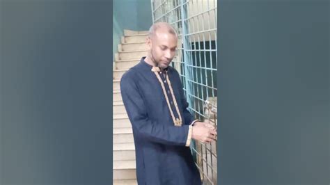 মুরুব্বী মুরুব্বী এখন বাথরুমেও গেলেও বলে। Youtube