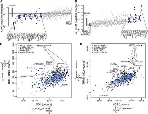 Discordant Expression Of Junction And Noncoding Probes Highlights Genes